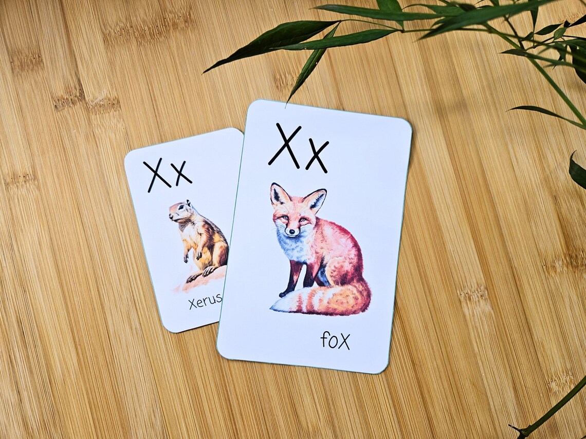 Nature ABC Cards and Poster BUNDLE Alphabet Nature Flashcards Alphabet ...