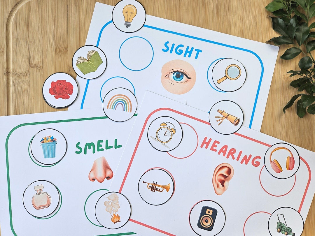 Five Senses Sorting Mats 5 Senses Activity Senses Cards 5 Senses ...