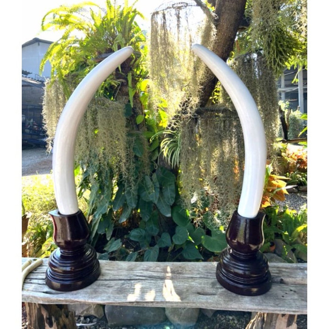 Hand-carved Wooden Elephant Tusk Pair With Base, 100-120 Cm Tall ...