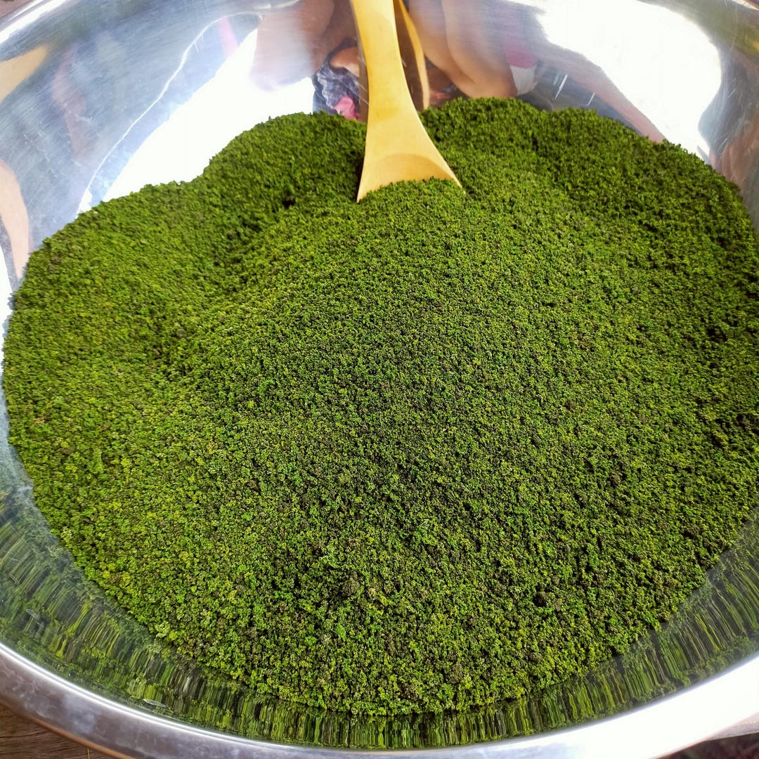 500g Dried Wolffia: Crunchy Green Caviar Superfood - Etsy
