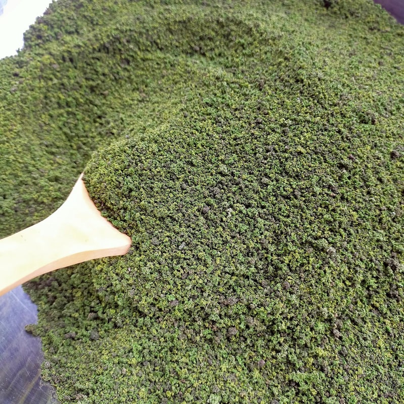 Mankai powder - Etsy.de