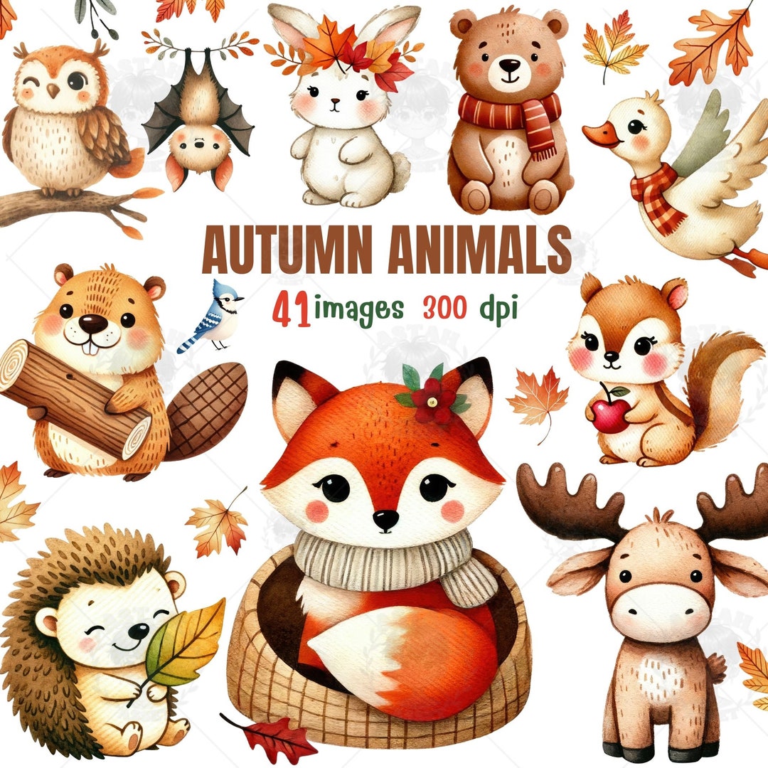 Autumn Animal Watercolor Clipart: Fall Woodland PNG (digital Download ...
