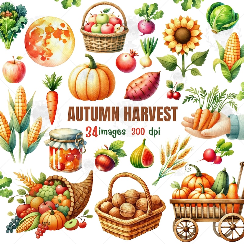 Autumn Harvest - Etsy
