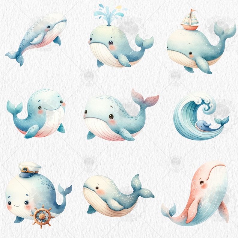 Cute Whale Watercolor Clipart ,undersea ,baby Whale Png,nursery Decor ...