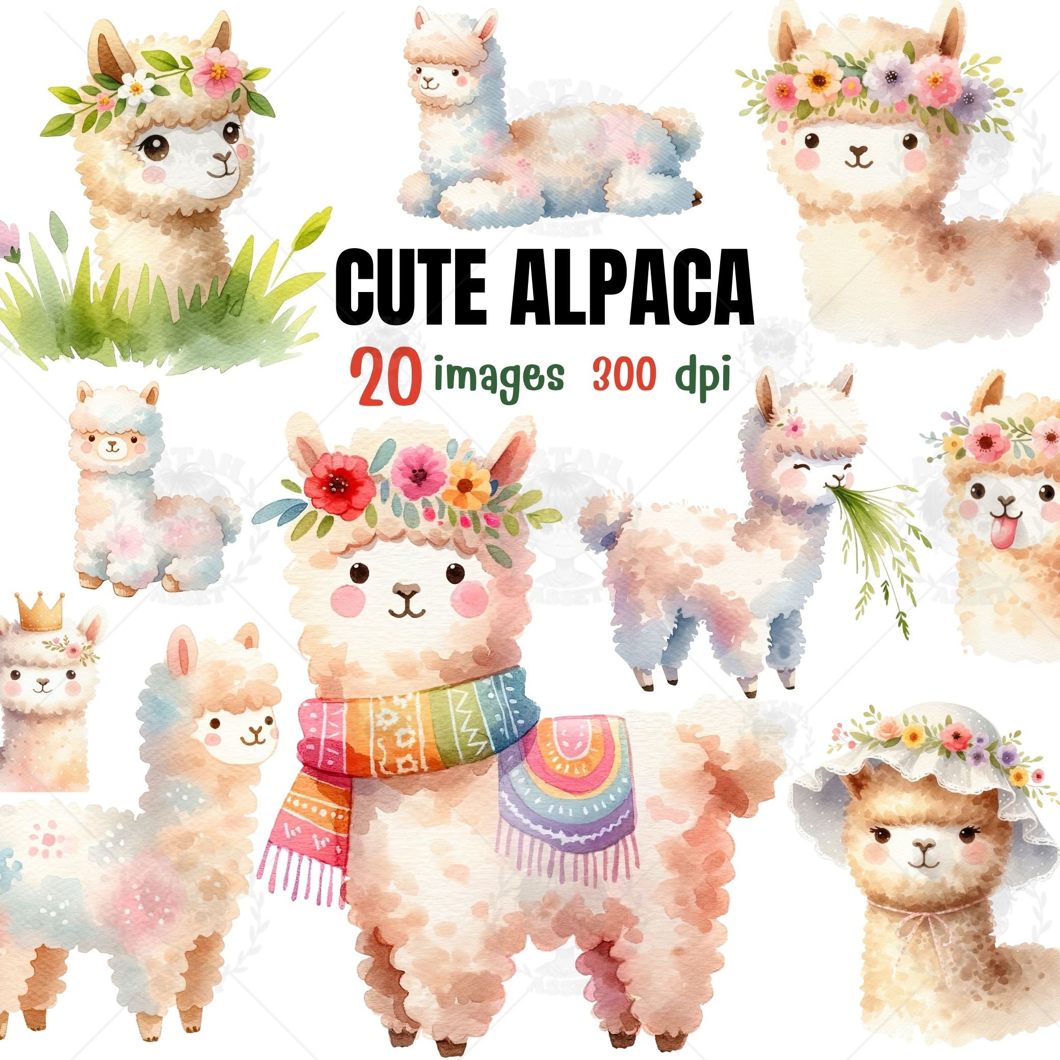 Alpaca Watercolor Clipart, Cute Animal Clipart, Alpaca PNG, Pet Clipart ...