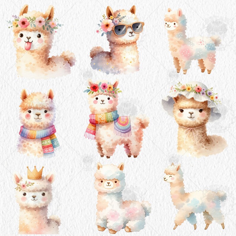 Alpaca Watercolor Clipart, Cute Animal Clipart, Alpaca PNG, Pet Clipart ...