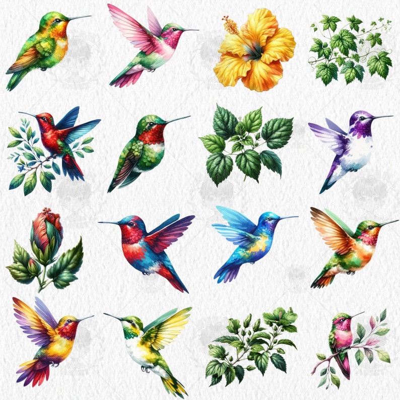 Watercolor Hummingbird Clipart Set, Bird Png, Illustration Paper ...