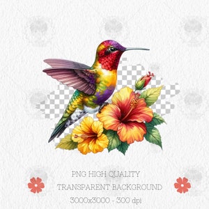 Watercolor Hummingbird Clipart Set, Bird Png, Illustration Paper ...