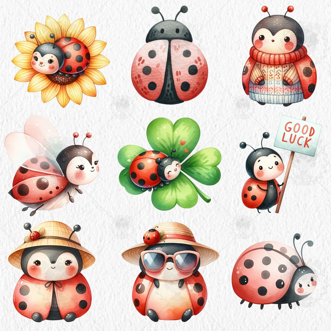 Cute Ladybug Watercolor Clipart ,ladybird PNG ,springtime ,spring ...