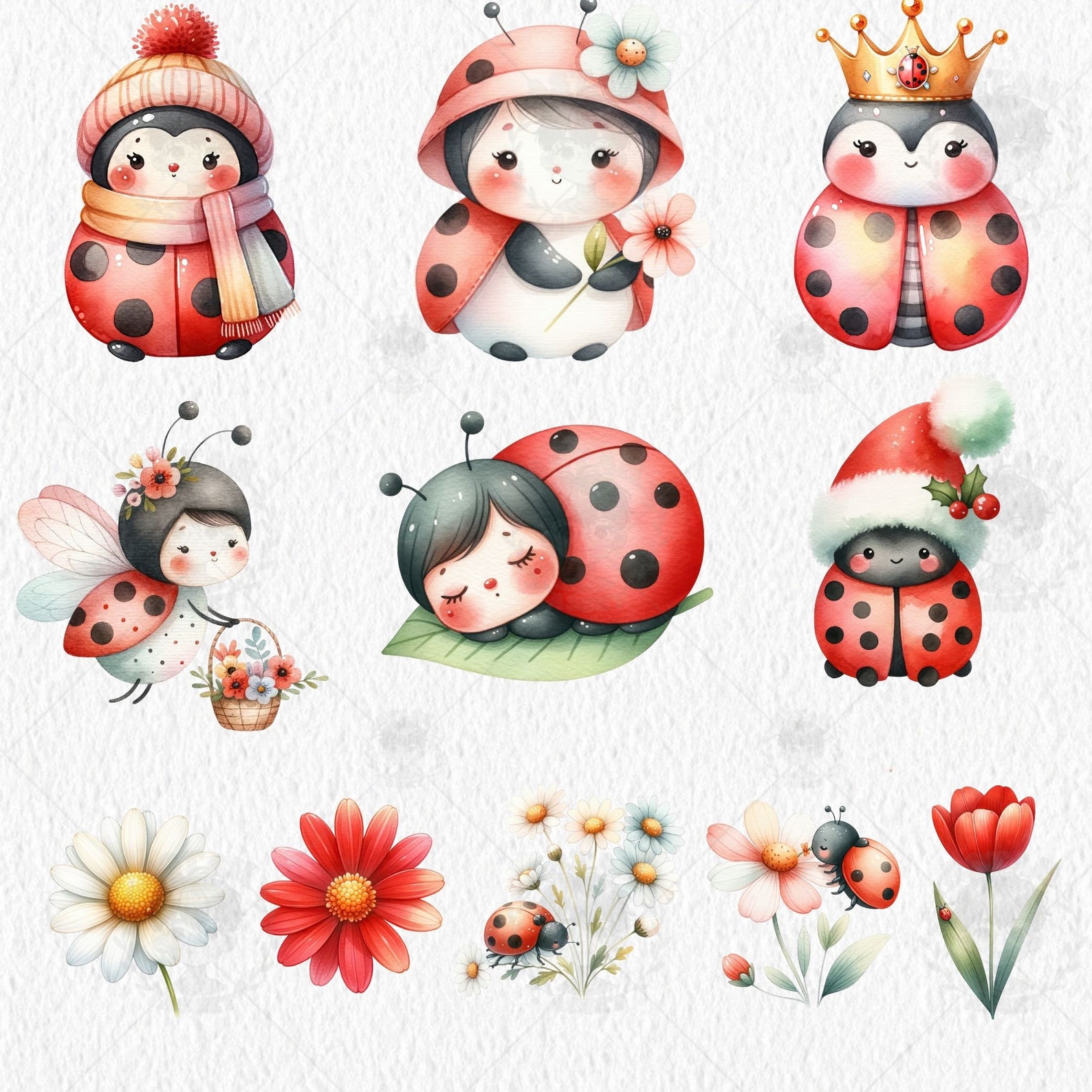 Cute Ladybug Watercolor Clipart ,ladybird PNG ,springtime ,spring ...