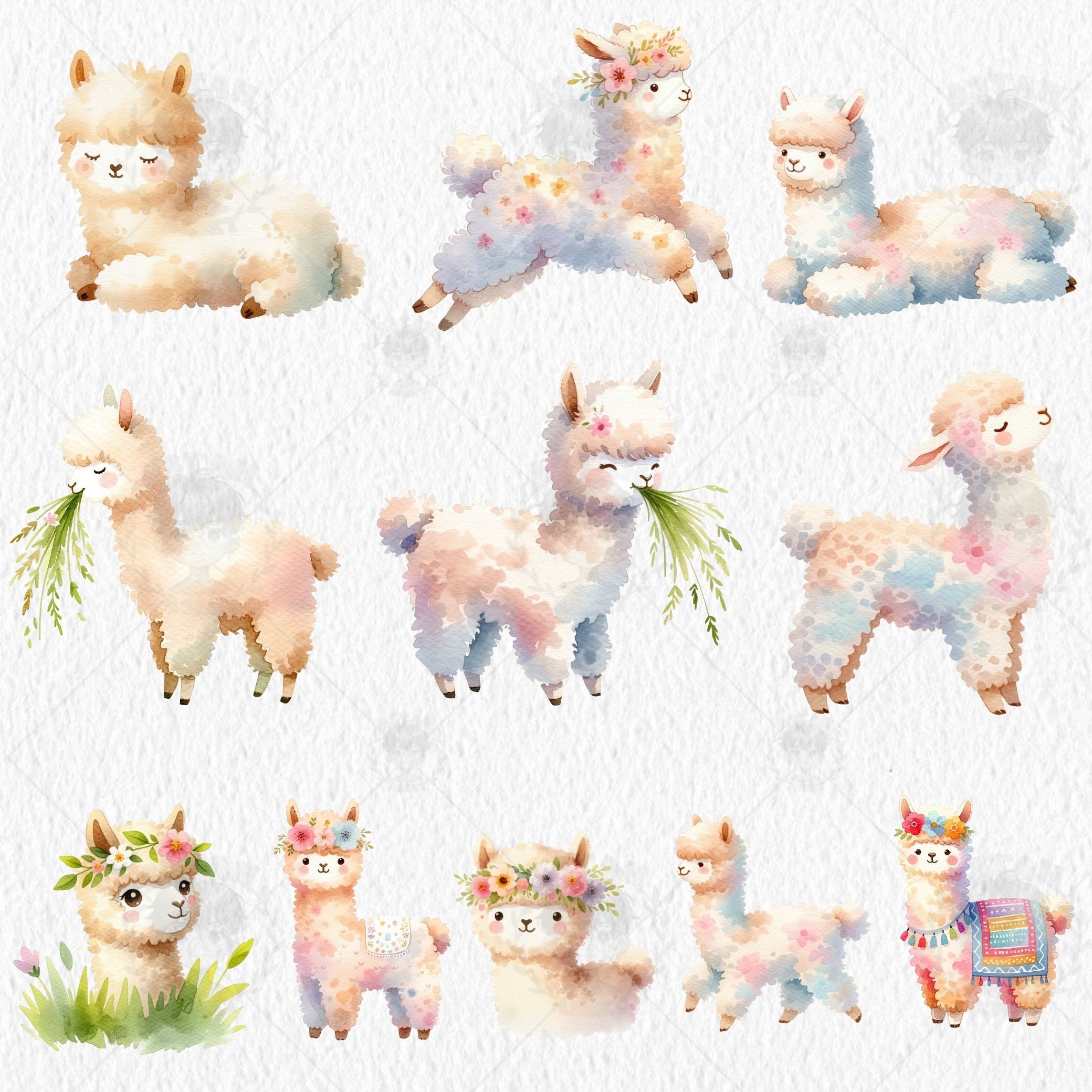 Alpaca Watercolor Clipart, Cute Animal Clipart, Alpaca PNG, Pet Clipart ...