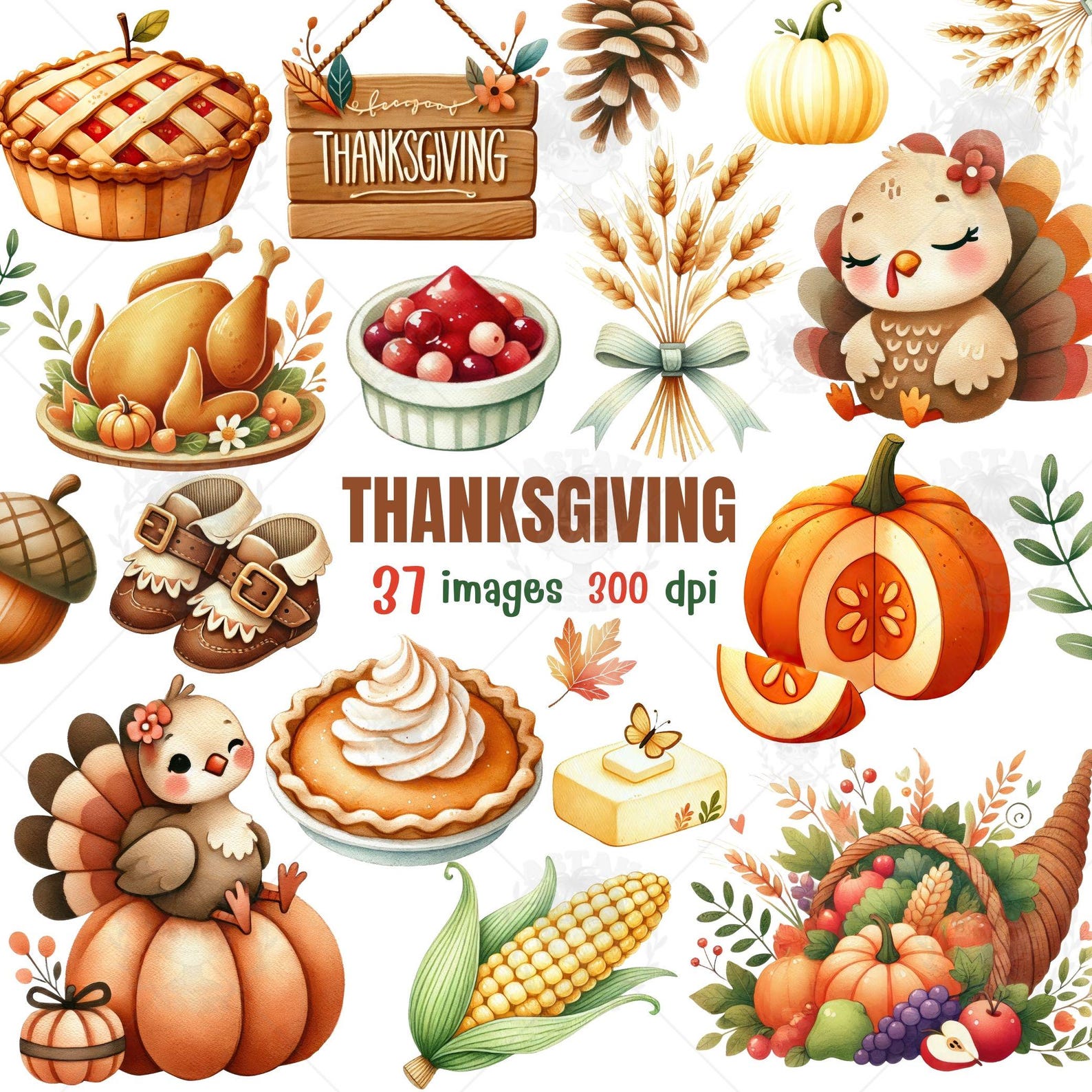 Thanksgiving Watercolor Clipart: Autumn PNG Images (commercial Use) - Etsy