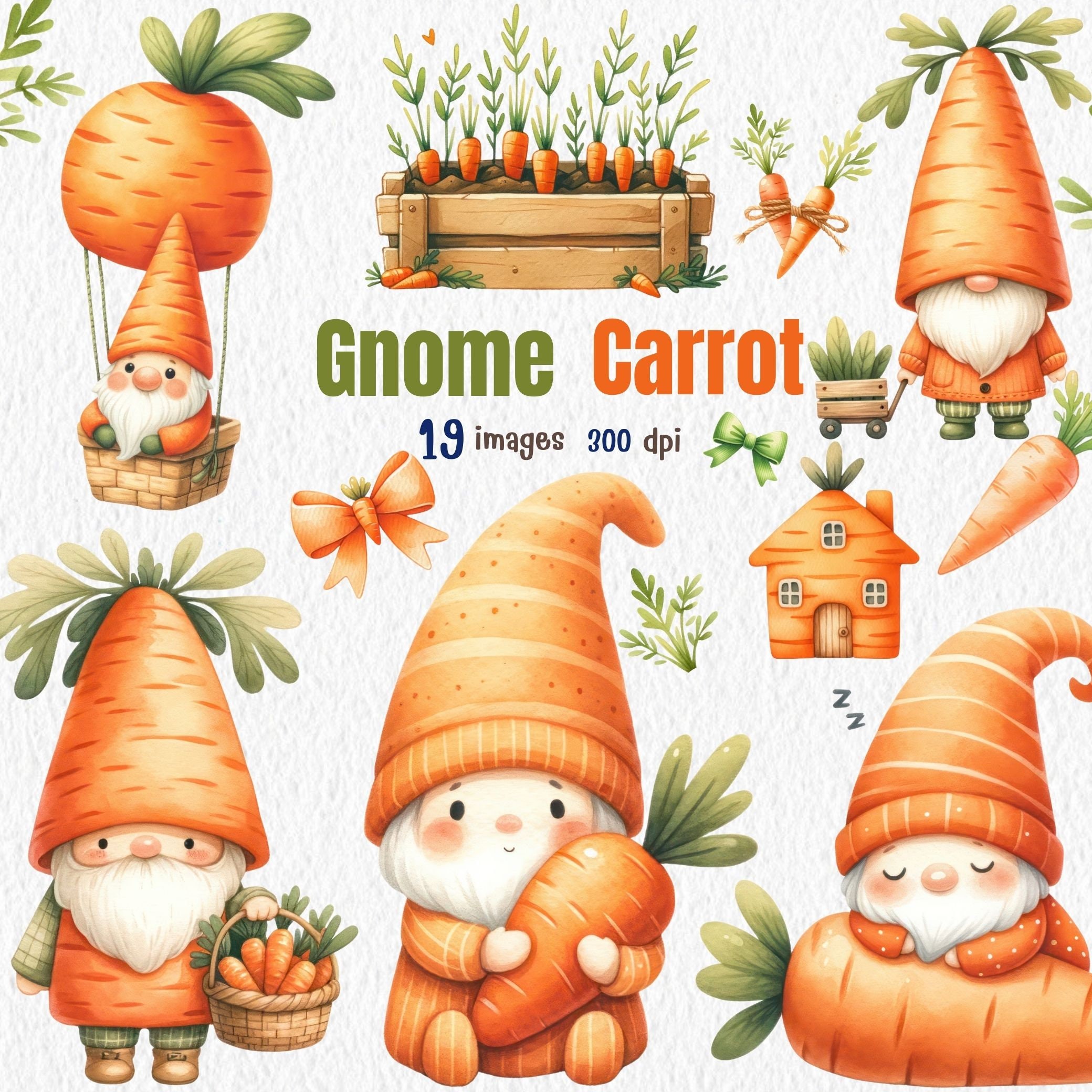 Cute Gnome Carrot ,watercolor Clipart ,farmer , Gnomes Sublimation ...