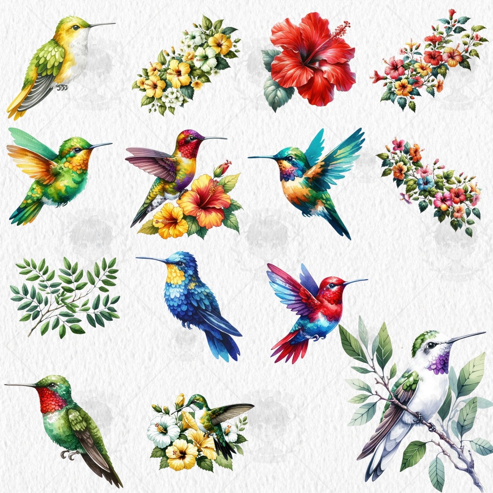 Watercolor Hummingbird Clipart Set, Bird Png, Illustration Paper ...