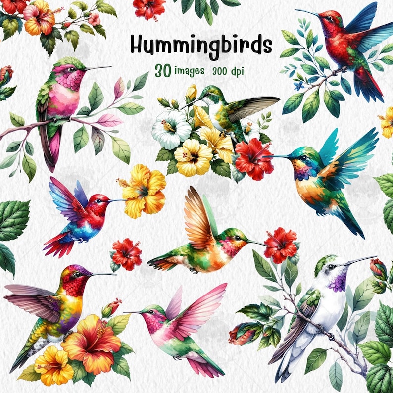 Watercolor Hummingbird Clipart Set, Bird Png, Illustration Paper ...
