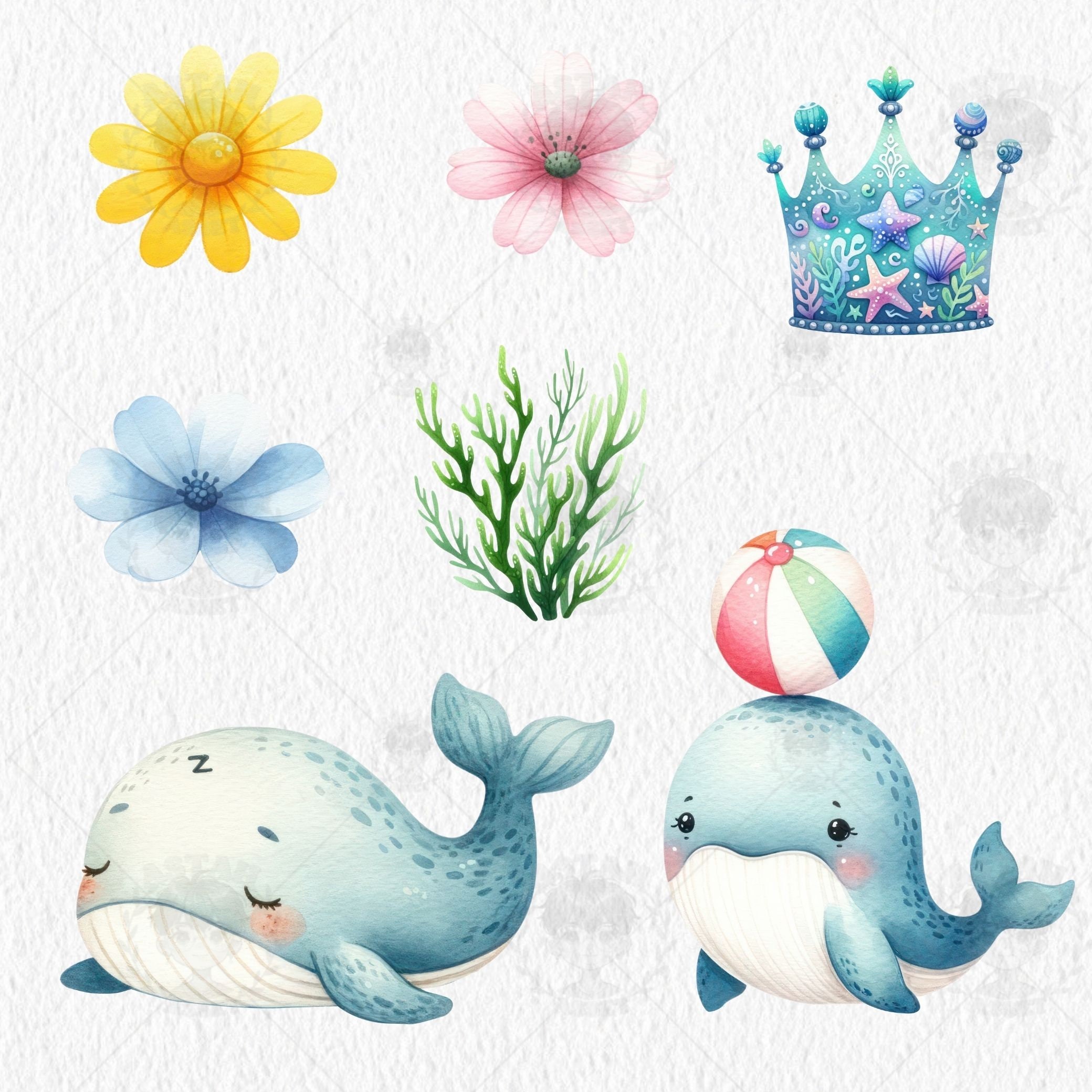 Cute Whale Watercolor Clipart ,undersea ,baby Whale Png,nursery Decor ...