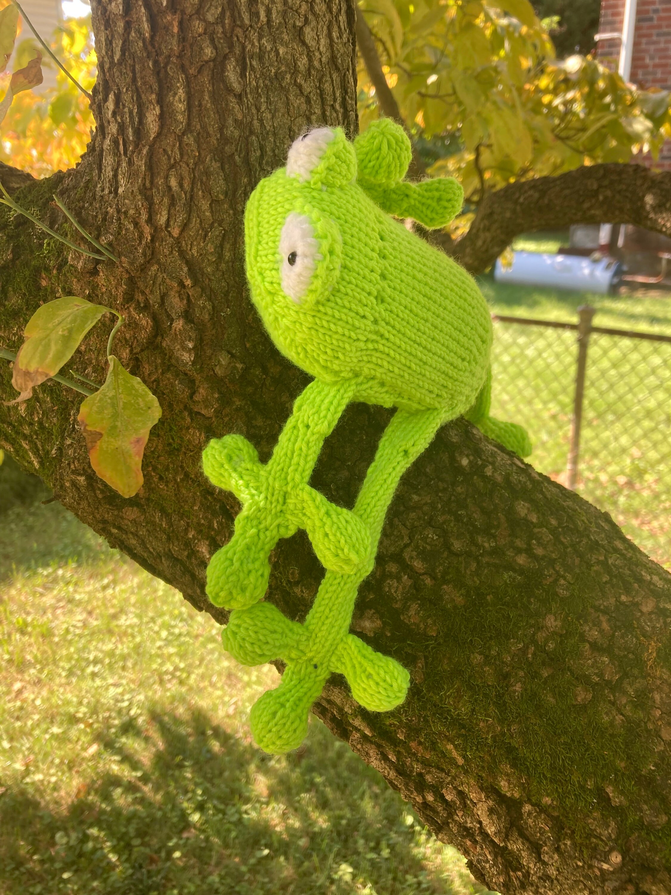 Knitted Frog Toy - Etsy