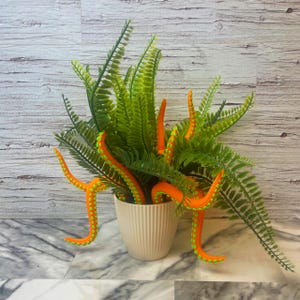 Octopus Tentacles Planter Decorations - Set of 8. House Plant Decor - Etsy