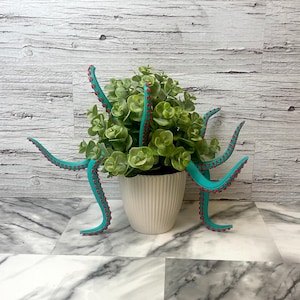 Octopus Tentacles Planter Decorations - Set of 8. House Plant Decor - Etsy