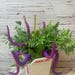 Octopus Tentacles Planter Decorations - Set of 8. House Plant Decor - Etsy