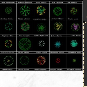 Tree Plans Bundle , 160 Tree Blocks, High Quality 2D Autocad Files ...