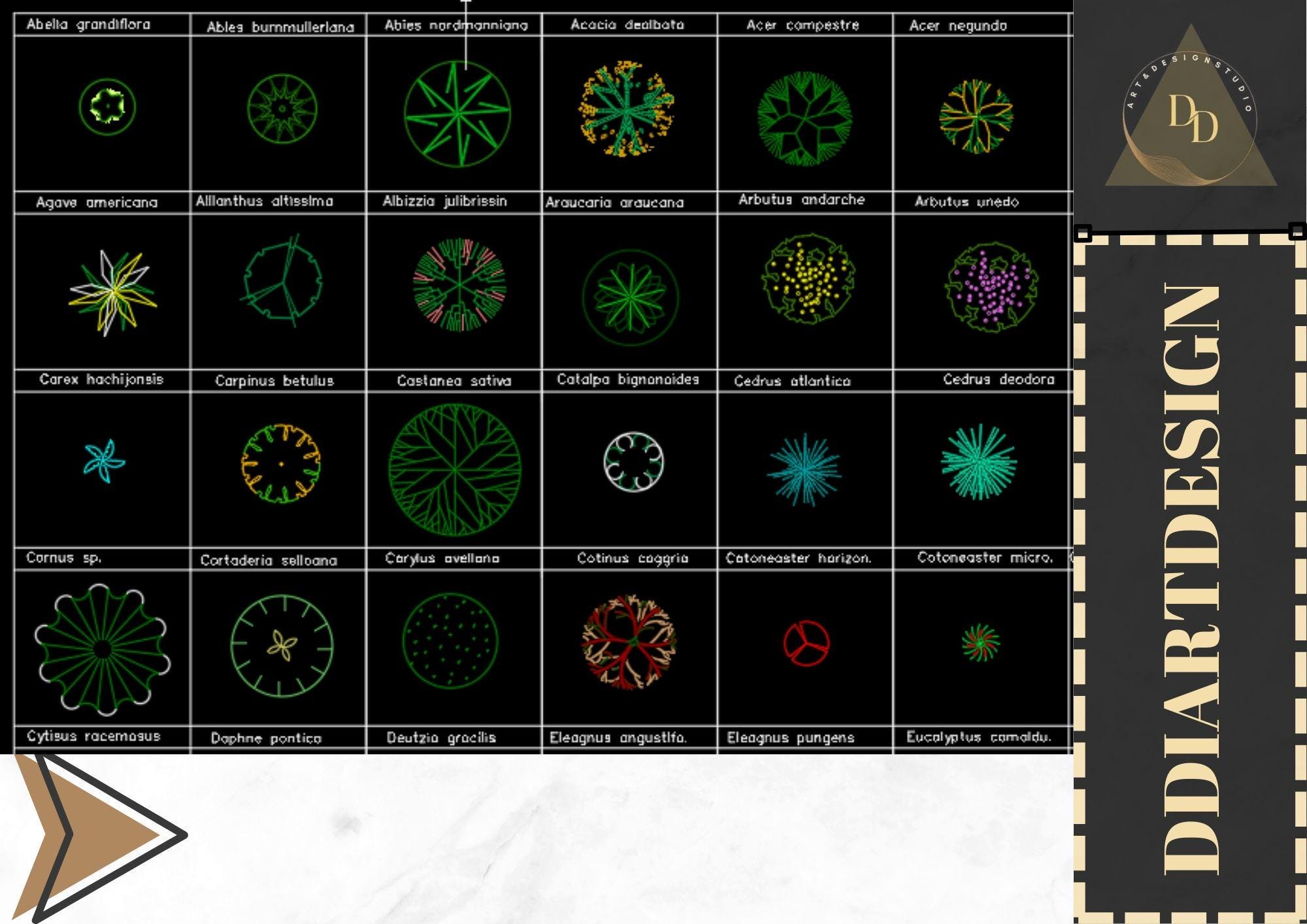 Tree Plans Bundle , 160 Tree Blocks, High Quality 2D Autocad Files ...