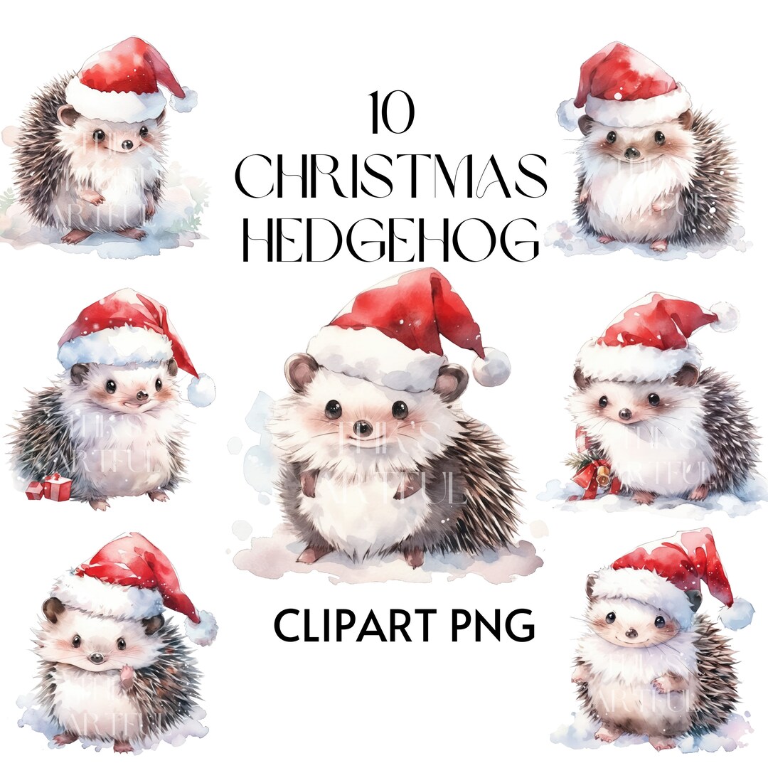 Watercolor 10 Christmas Hedgehog Clipart Bundle,hedgehog Clipart for ...