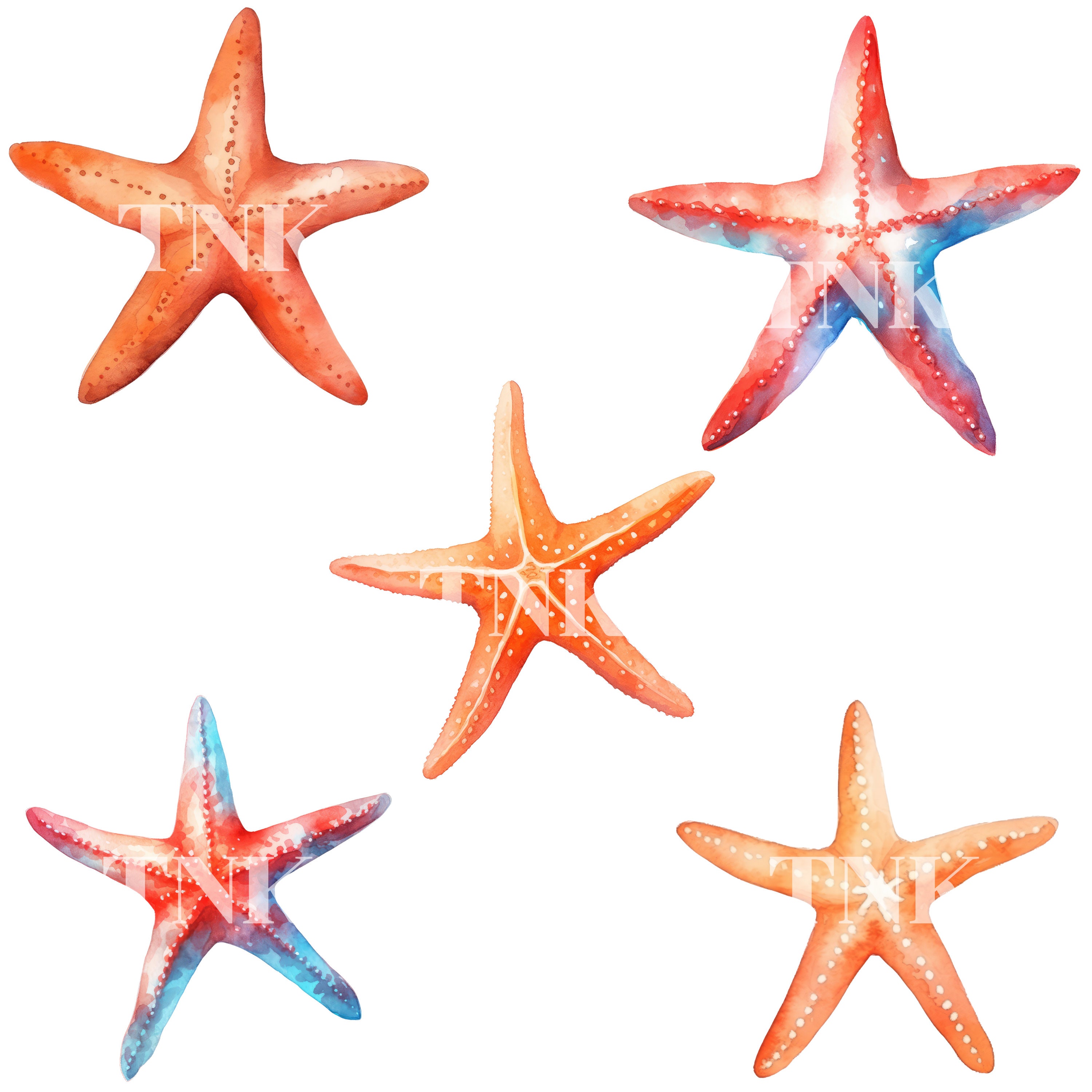 Watercolor STARFISH Clipart Bundle,ocean Clipart, Sea Clipart, Clipart ...