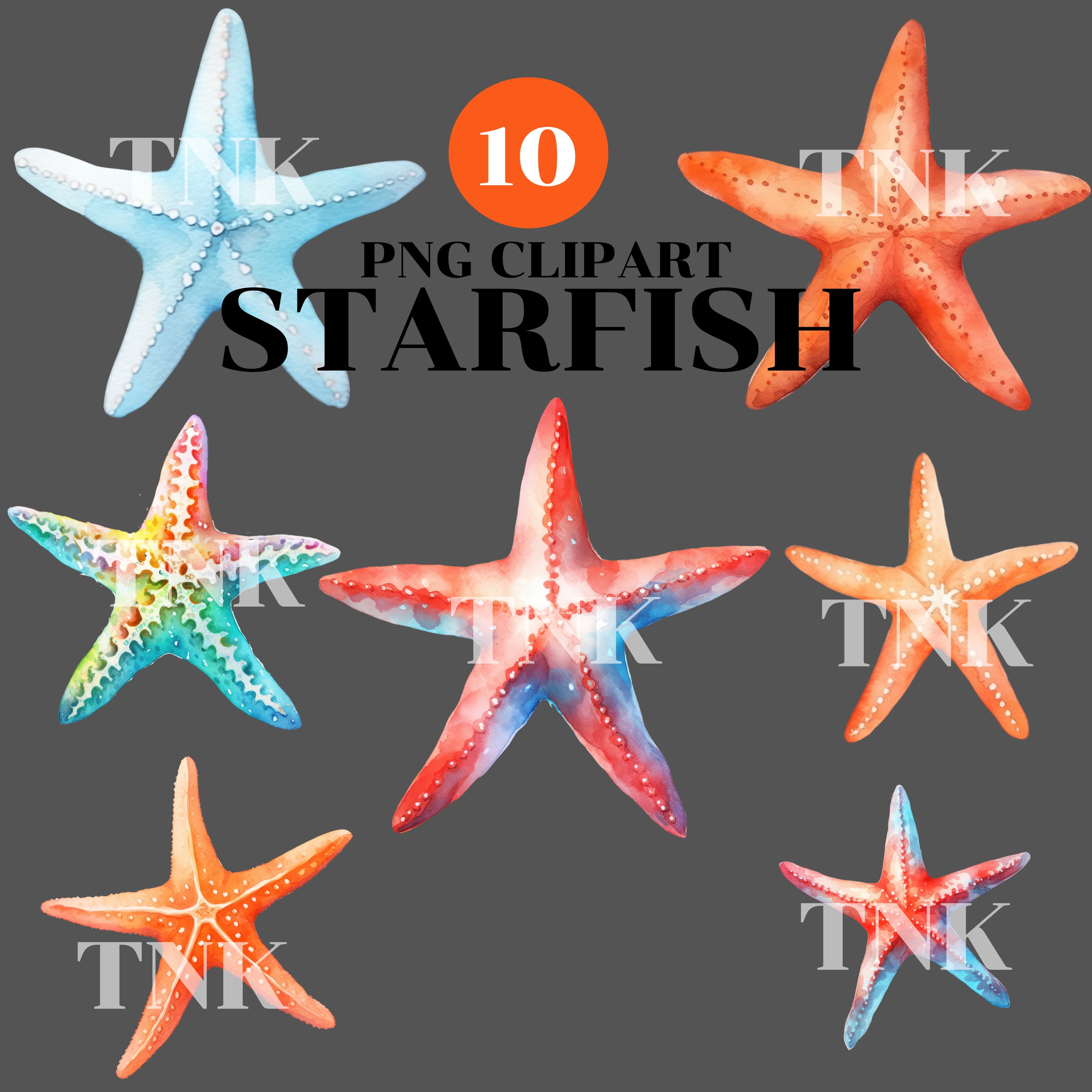 Watercolor STARFISH Clipart Bundle,ocean Clipart, Sea Clipart, Clipart ...