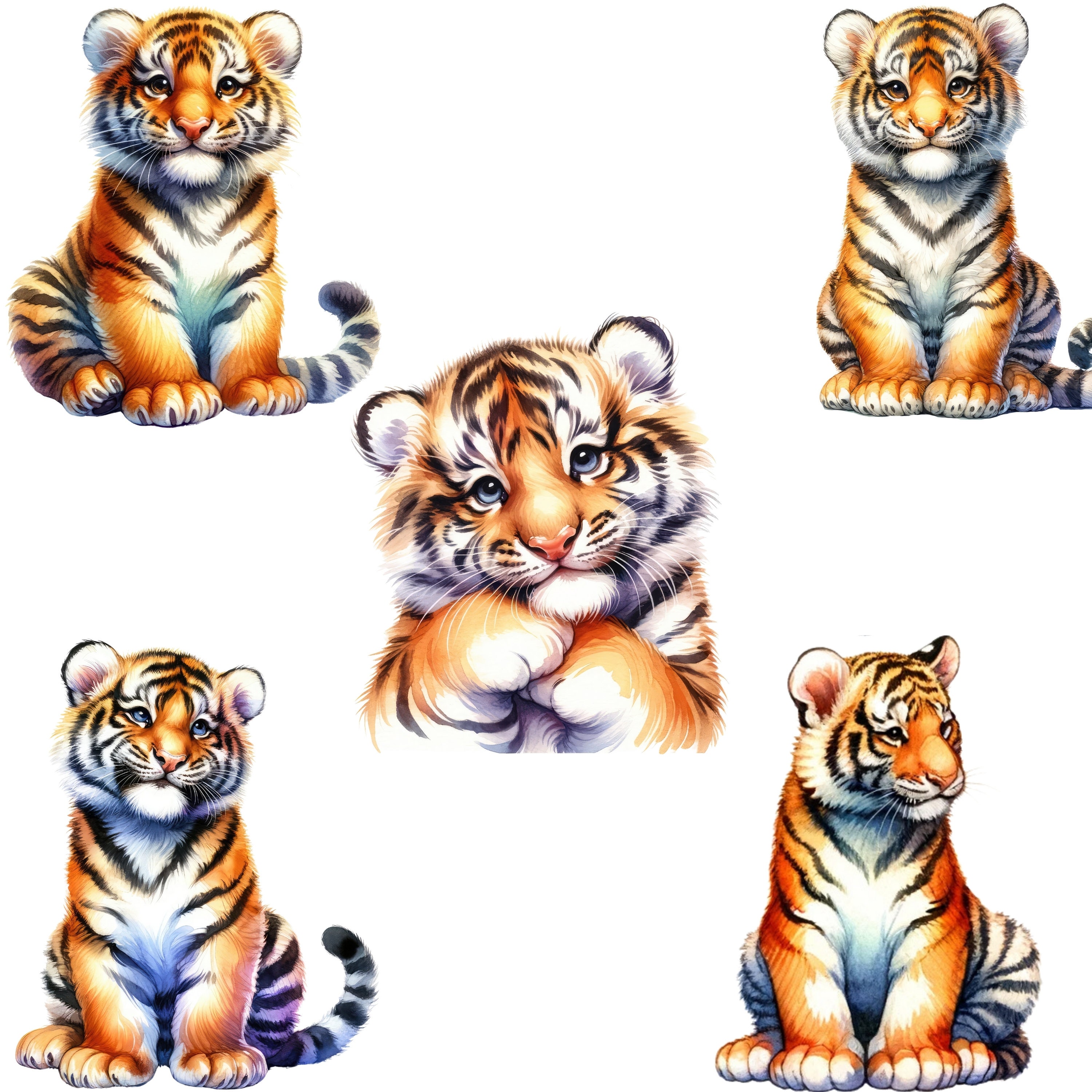 Watercolor Cute Tiger Clipart Bundle,png, Clipart for Commercial Use ...