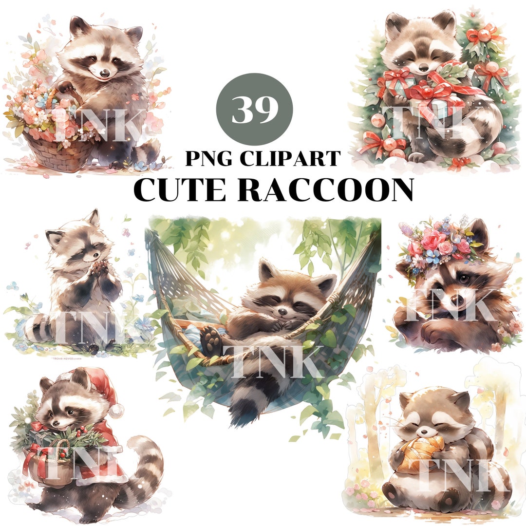 Watercolor 39 Cute Raccoon Clipart Bundle,raccoon Png,raccoon Christmas ...