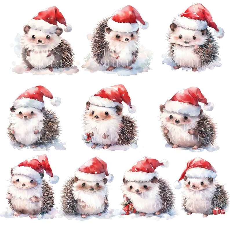 Watercolor 10 Christmas Hedgehog Clipart Bundle,hedgehog Clipart for ...