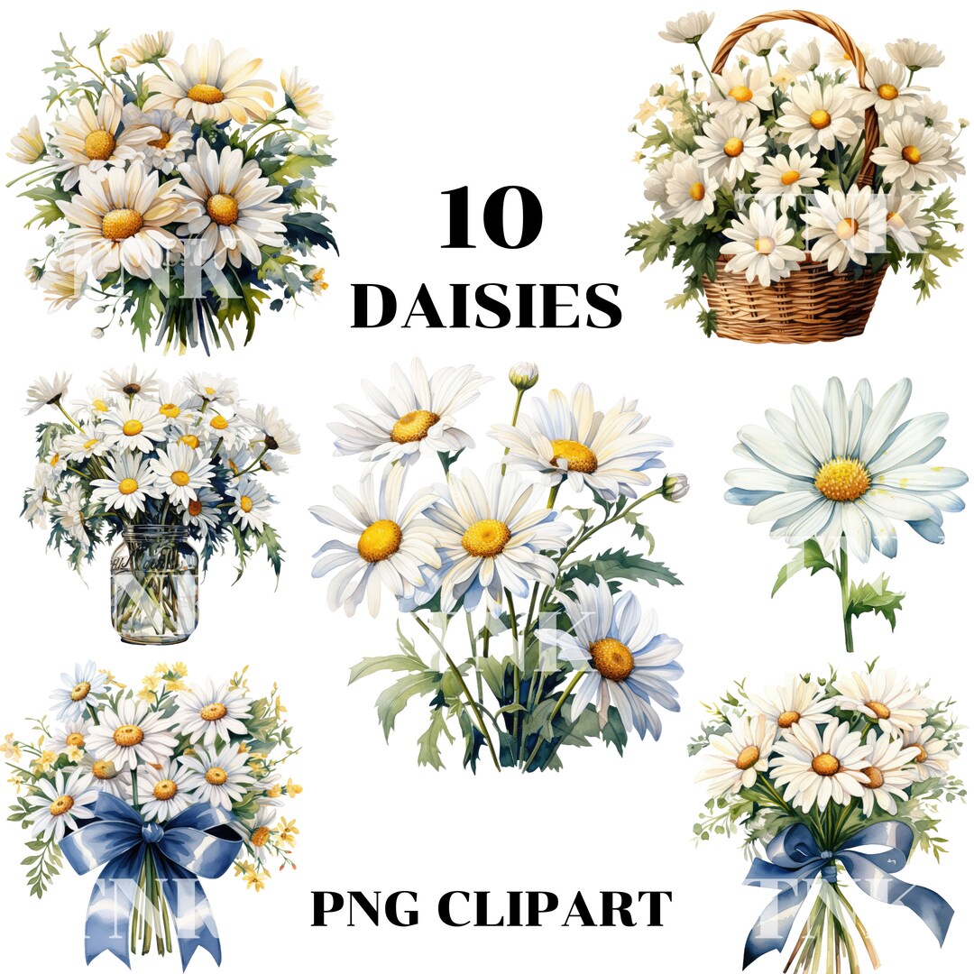 Watercolor Daisy Flower Clipart Bundle,cute Daisy,watercolor Floral ...