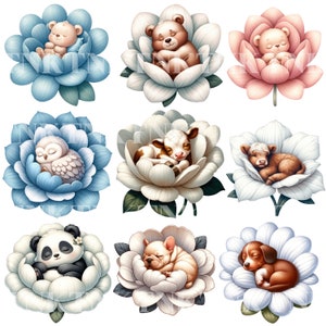 47 Sleepy Animal Clipart Baby Shower Gift Adorable Baby Animals PNG ...