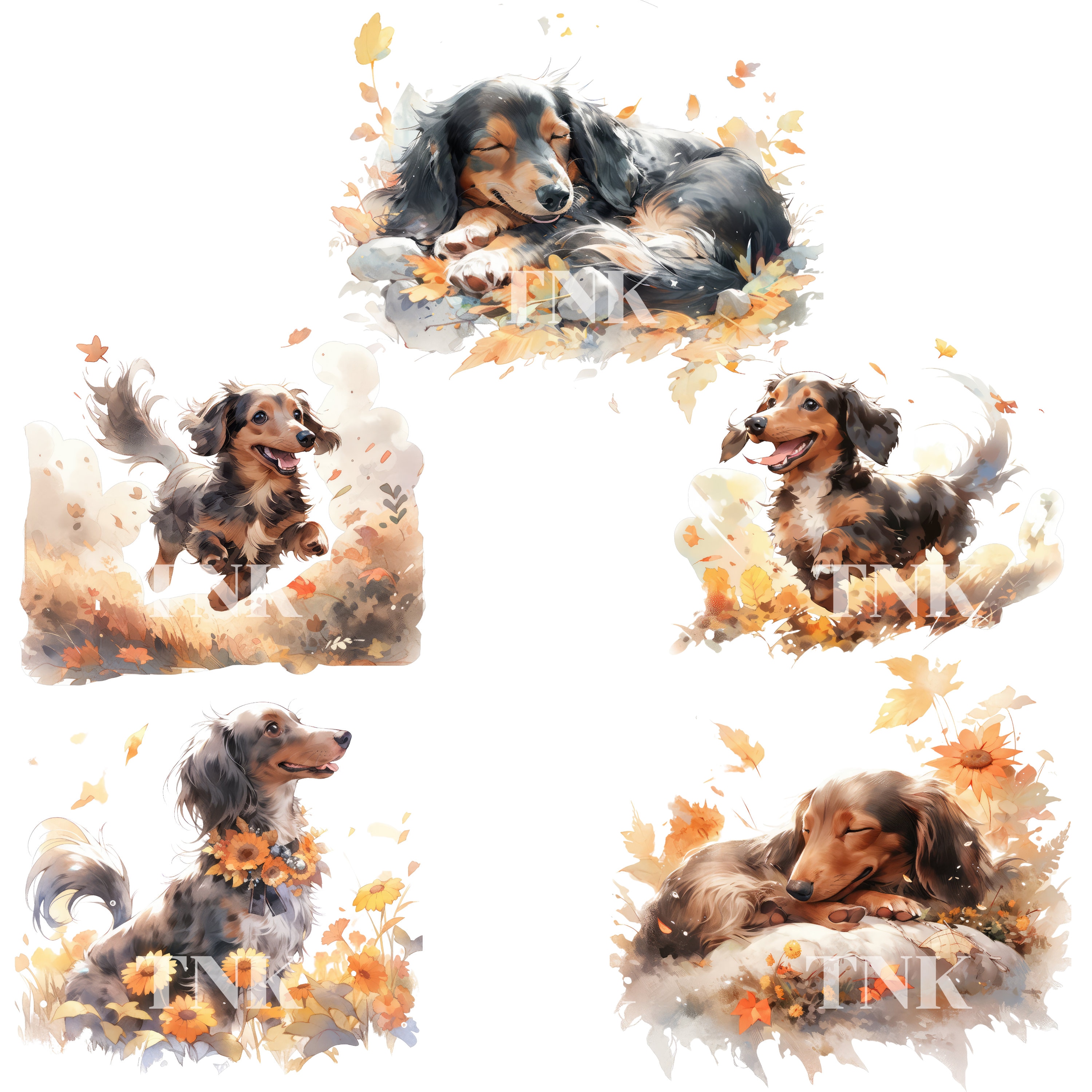 Watercolor Dachshund Autumn Clipart Bundleplayful Dog - Etsy