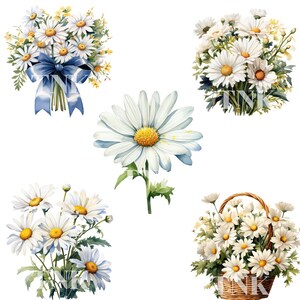 Watercolor Daisy Flower Clipart Bundle,cute Daisy,watercolor Floral ...