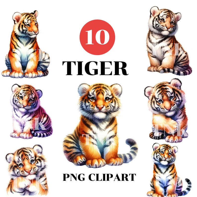 Watercolor Cute Tiger Clipart Bundle,png, Clipart for Commercial Use ...