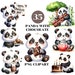 Baby Panda With Chocolate PNG, Panda Clipart, Animal Clipart, Little ...