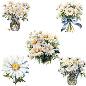 Watercolor Daisy Flower Clipart Bundle,cute Daisy,watercolor Floral ...