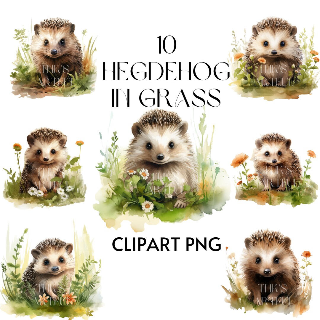 Watercolor Hedgehog Clipart Bundle, Commercial Use PNG (digital ...