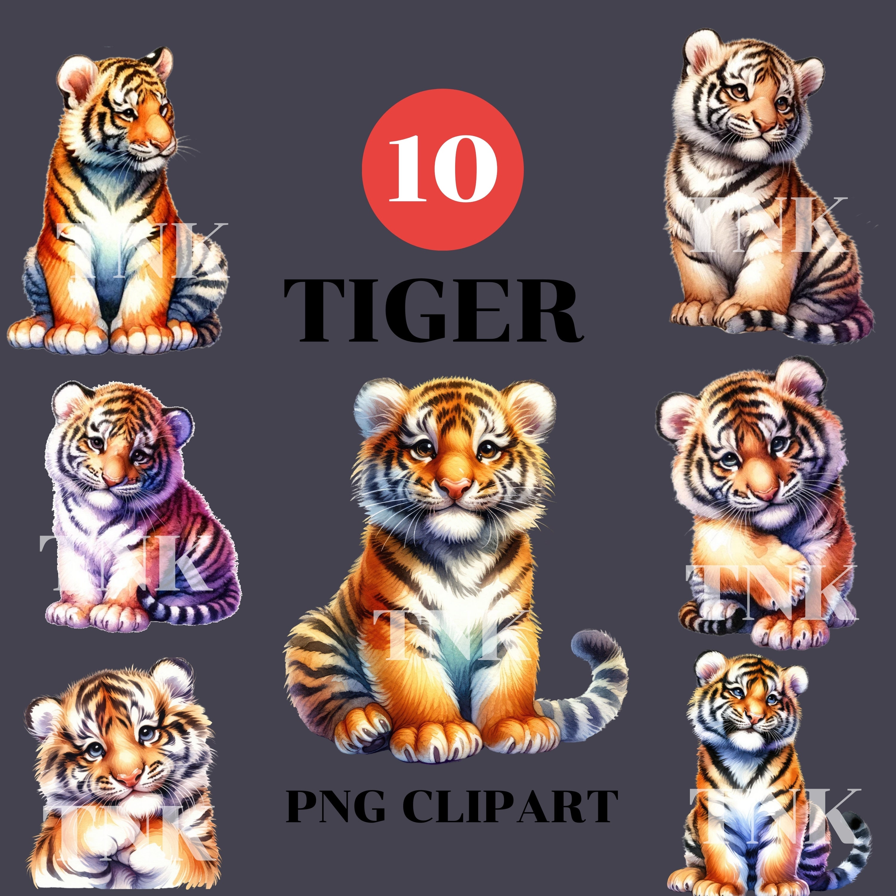 Watercolor Cute Tiger Clipart Bundle,png, Clipart for Commercial Use ...