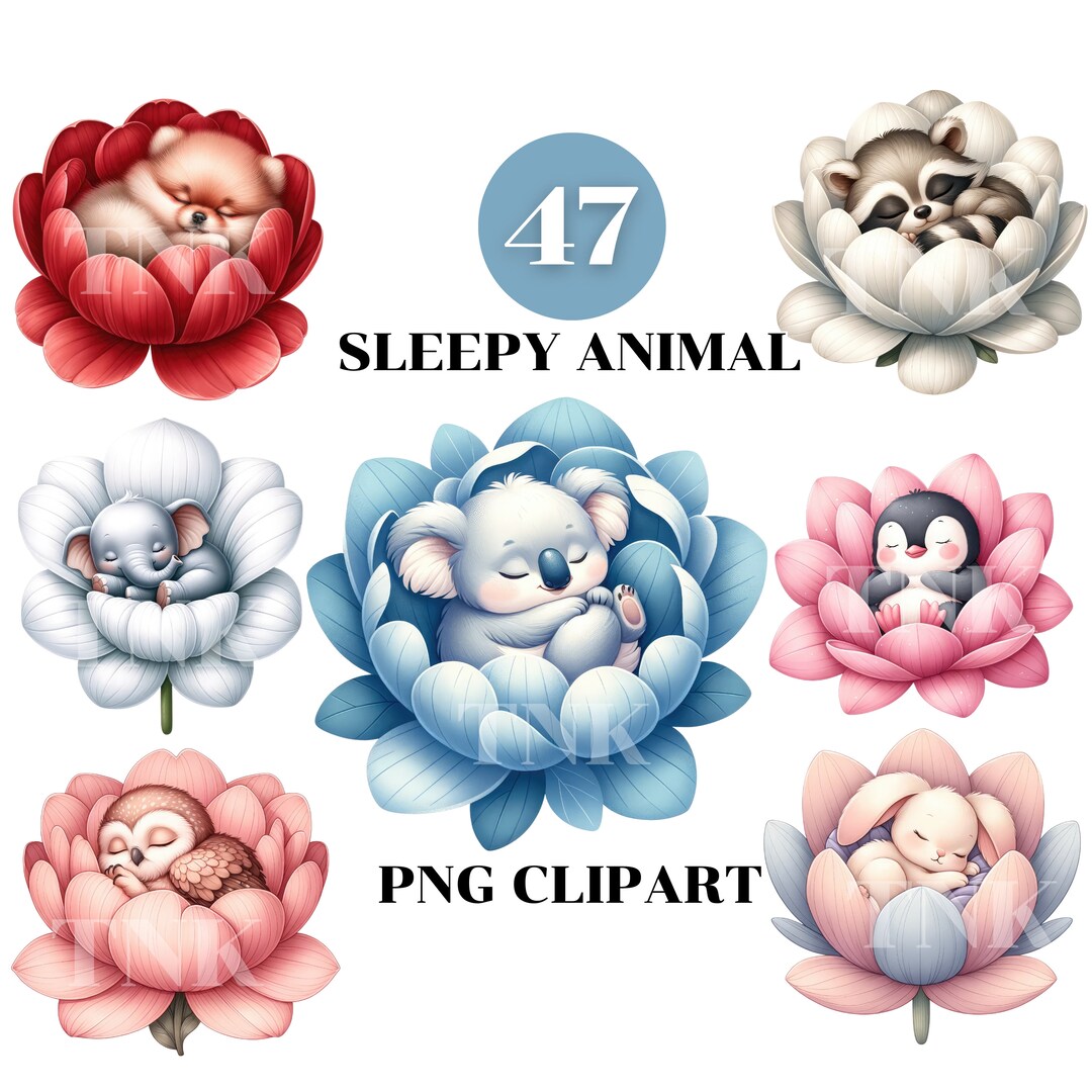 47 Sleepy Animal Clipart Baby Shower Gift Adorable Baby Animals PNG ...