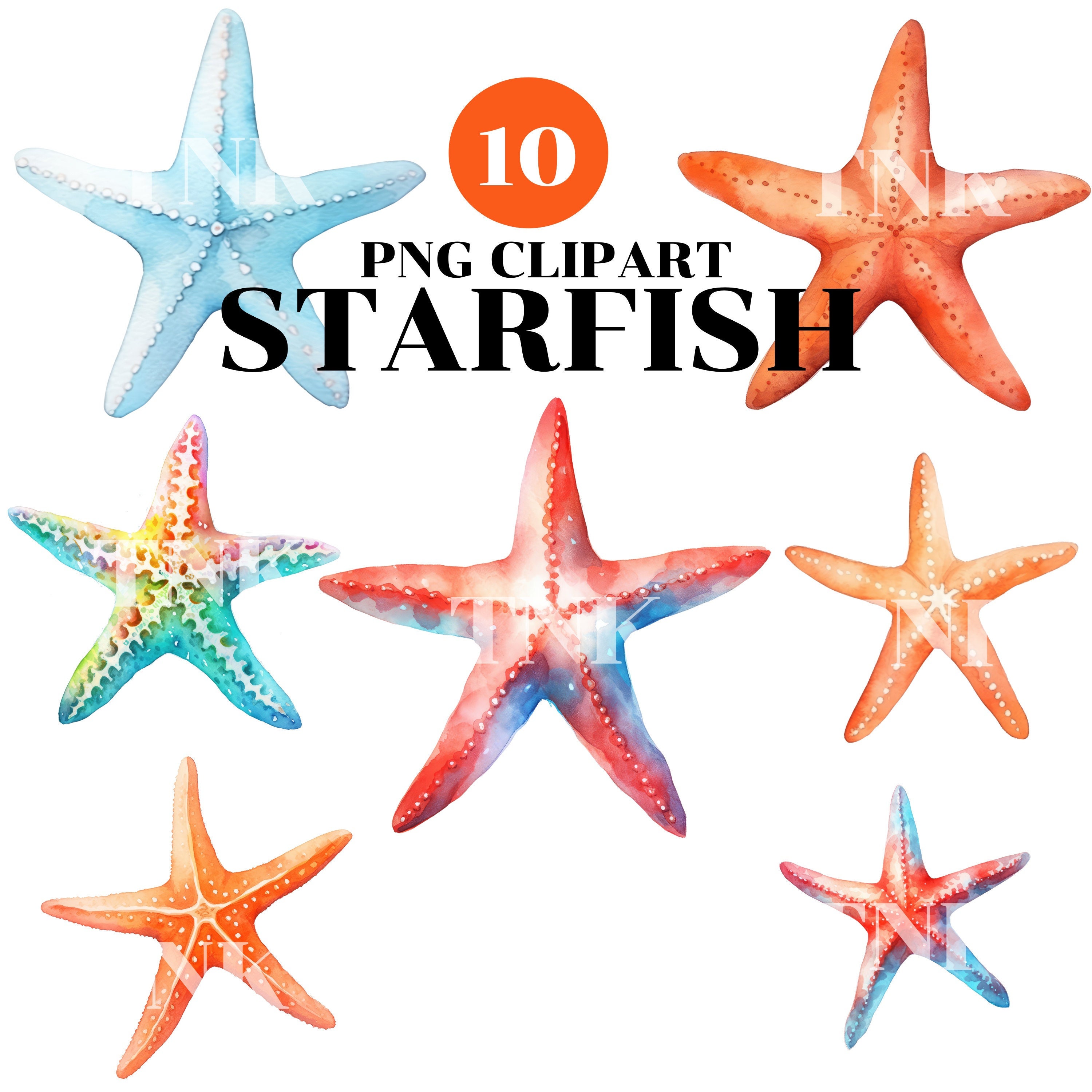 Watercolor STARFISH Clipart Bundle,ocean Clipart, Sea Clipart, Clipart ...