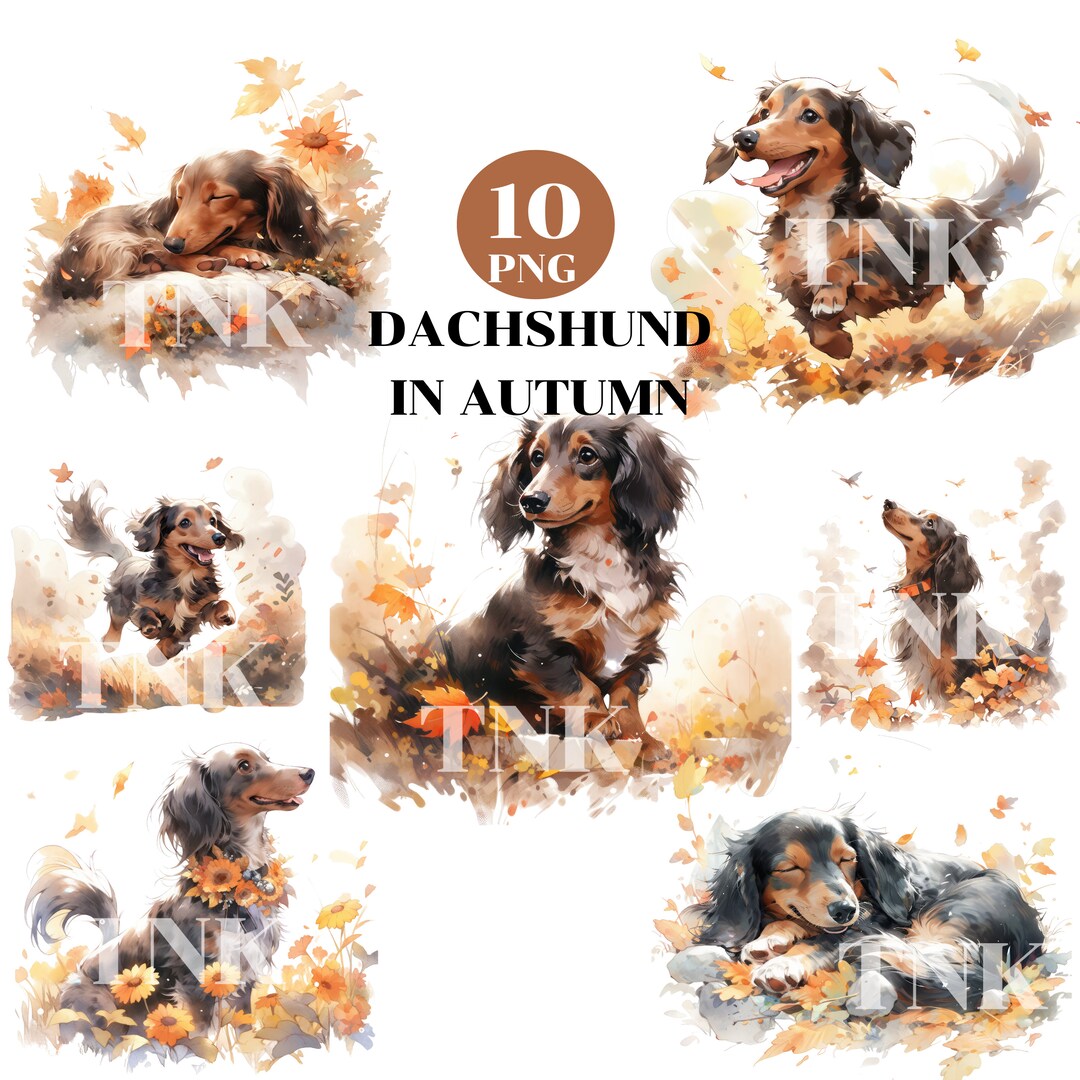Watercolor Dachshund Autumn Clipart Bundle, Playful Dog PNG (digital ...