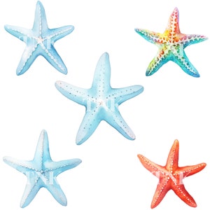 Watercolor STARFISH Clipart Bundle,ocean Clipart, Sea Clipart, Clipart ...