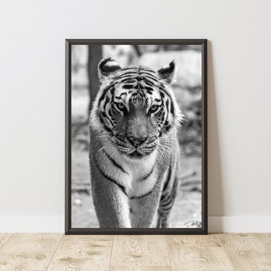 Tiger Poster, Tiger Print, Tiger Wall Art, Animal Poster, Animal Print ...