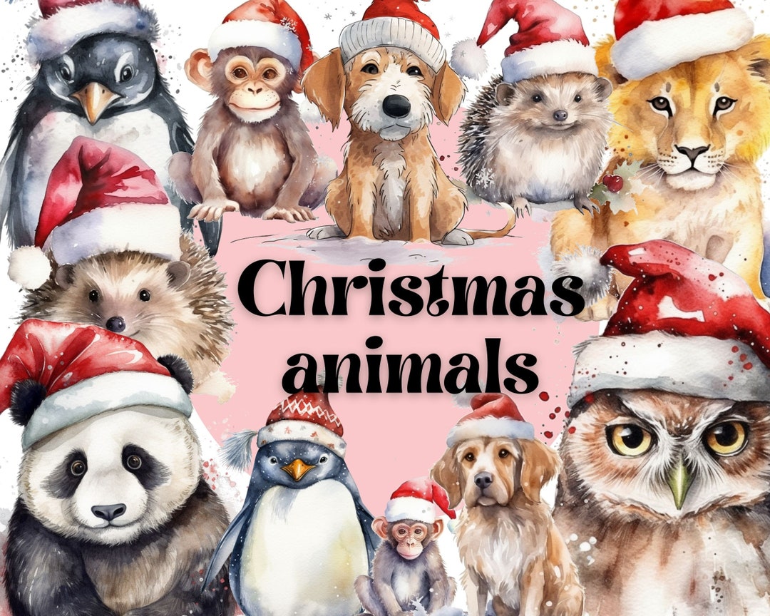 25 Christmas Animals Clipart Animals Cute PNG Animals - Etsy