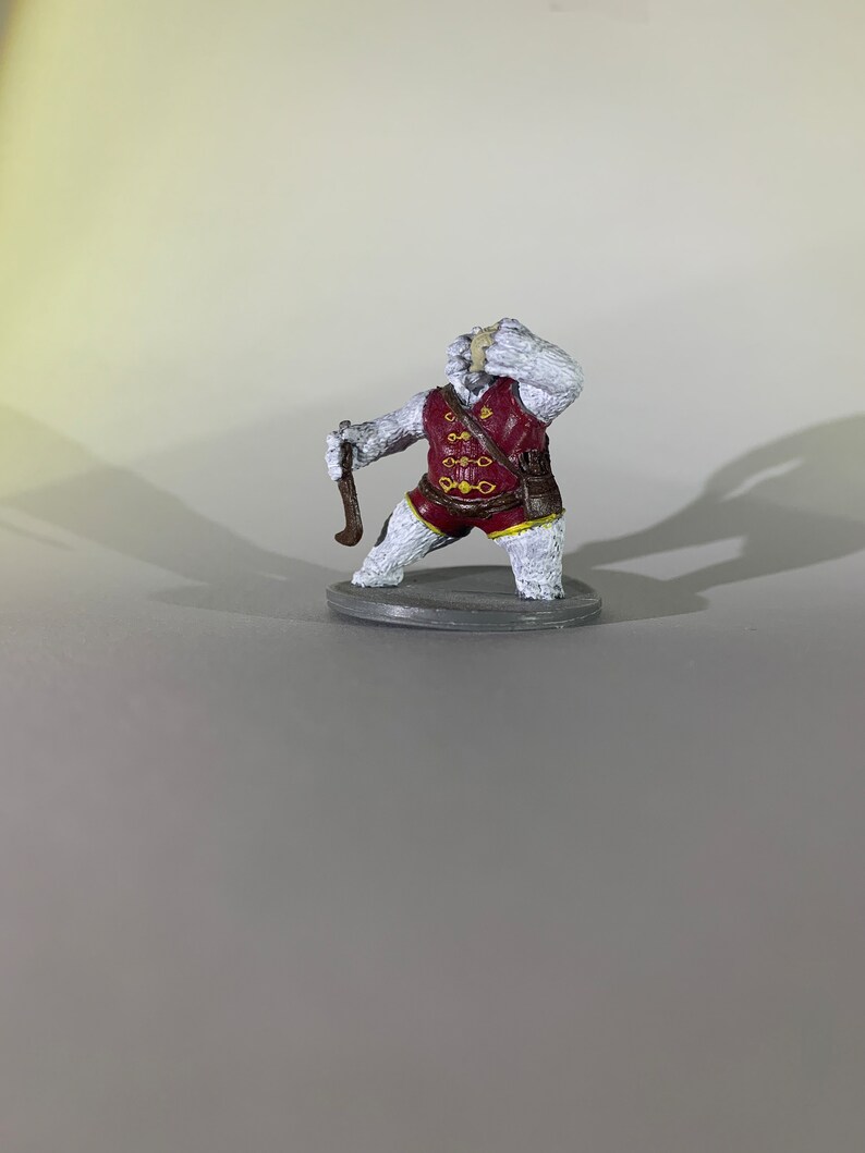 Tabaxi Monk Miniature for Dnd or Pathfinder. - Etsy