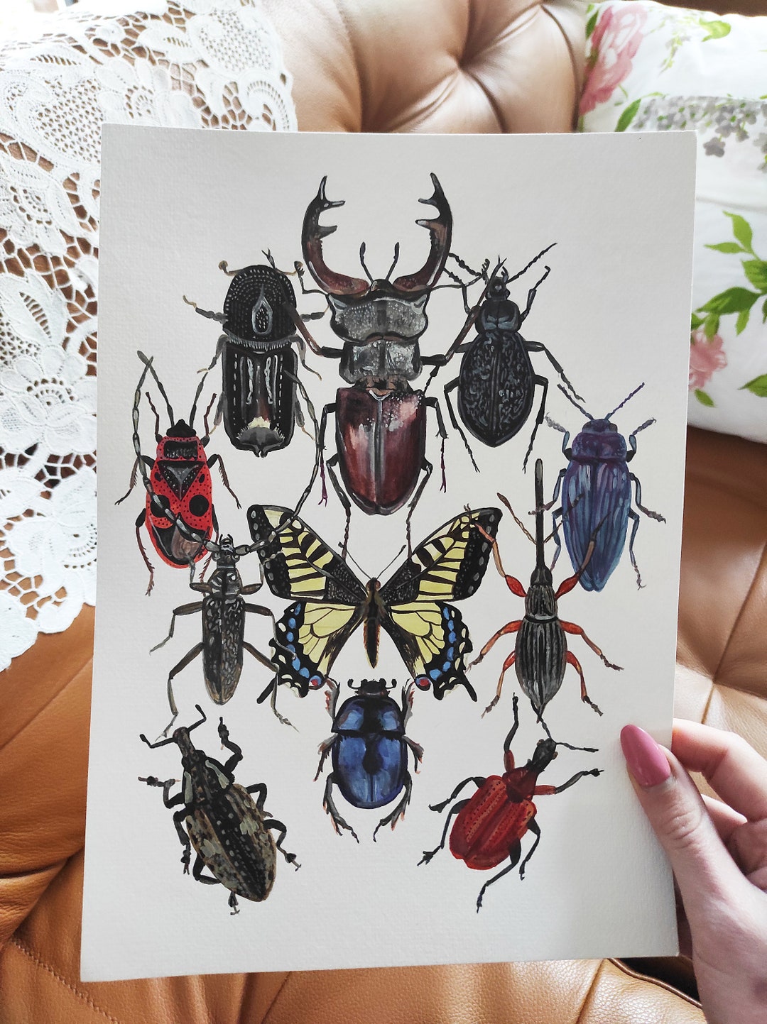 Original Insect Watercolor Painting: Entomology Art Print - Etsy Australia