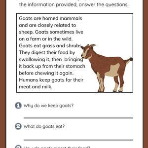 English Reading Comprehension Booklet Grade 1 and 2 Handwriting ...